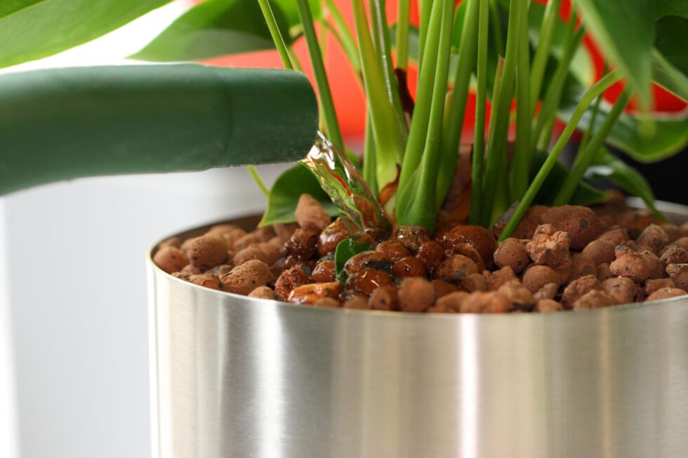 Neues Logo - Deutsche Gesellschaft für Hydrokultur