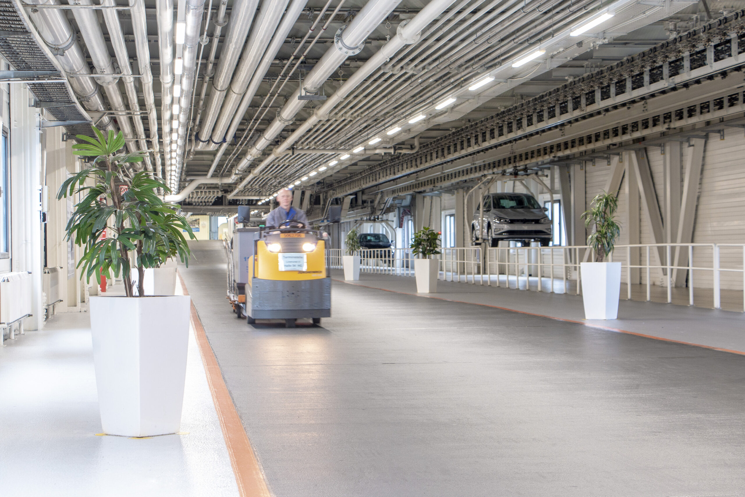 Startseite - Deutsche Gesellschaft für Hydrokultur