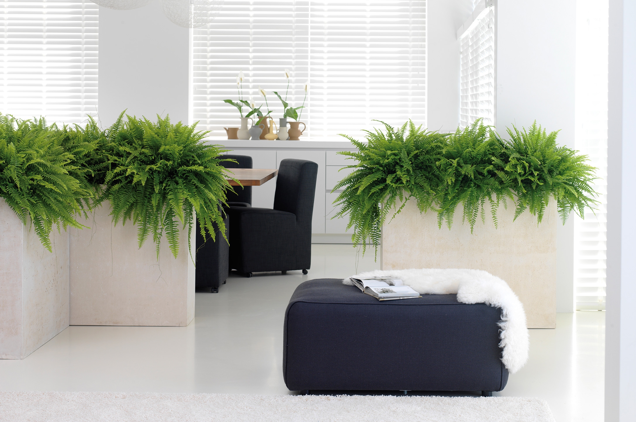 Helden im Kampf für saubere Luft im Haus - Deutsche Gesellschaft für ...