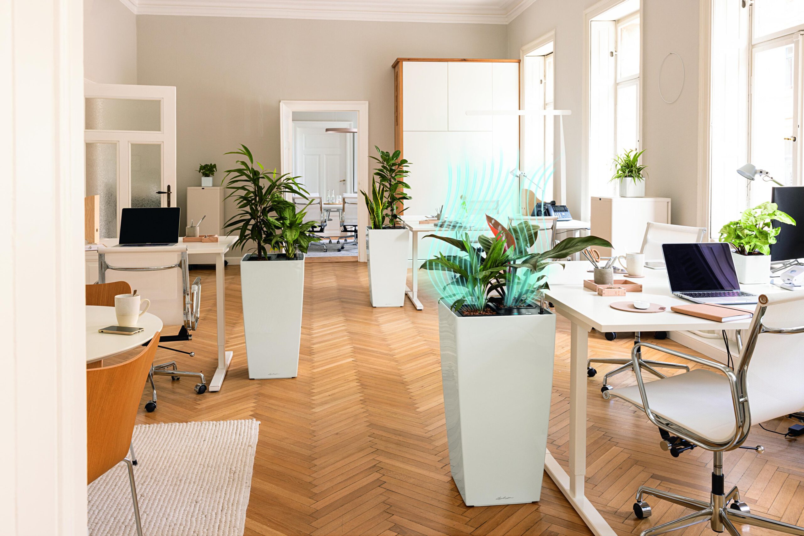 Startseite - Deutsche Gesellschaft für Hydrokultur