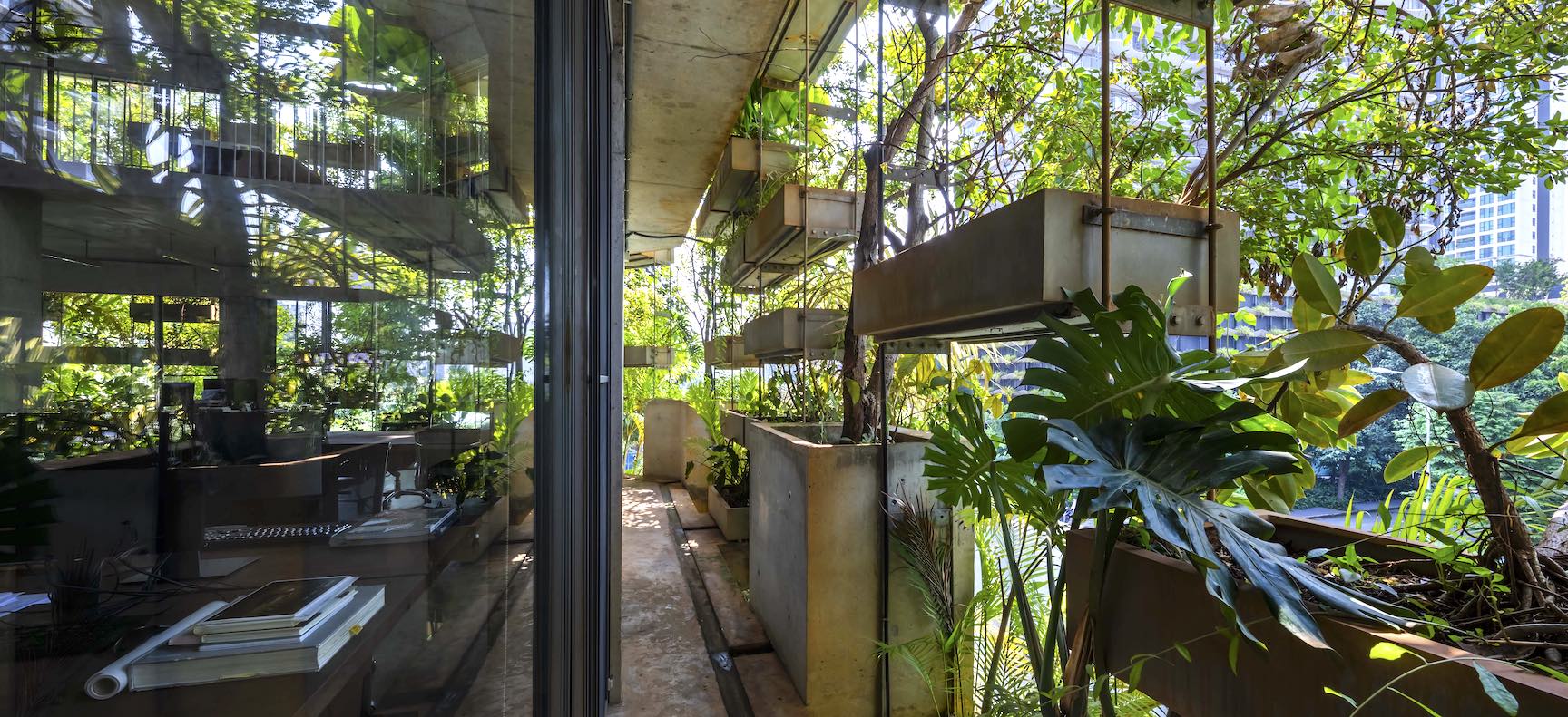 Startseite - Deutsche Gesellschaft für Hydrokultur